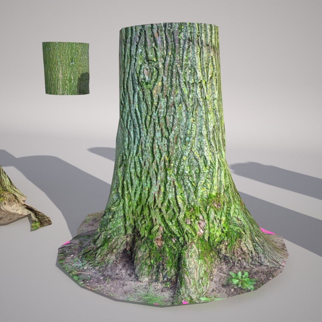 3d Scan Trees Model