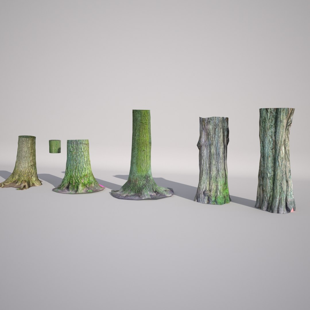 3d Scan Trees Model