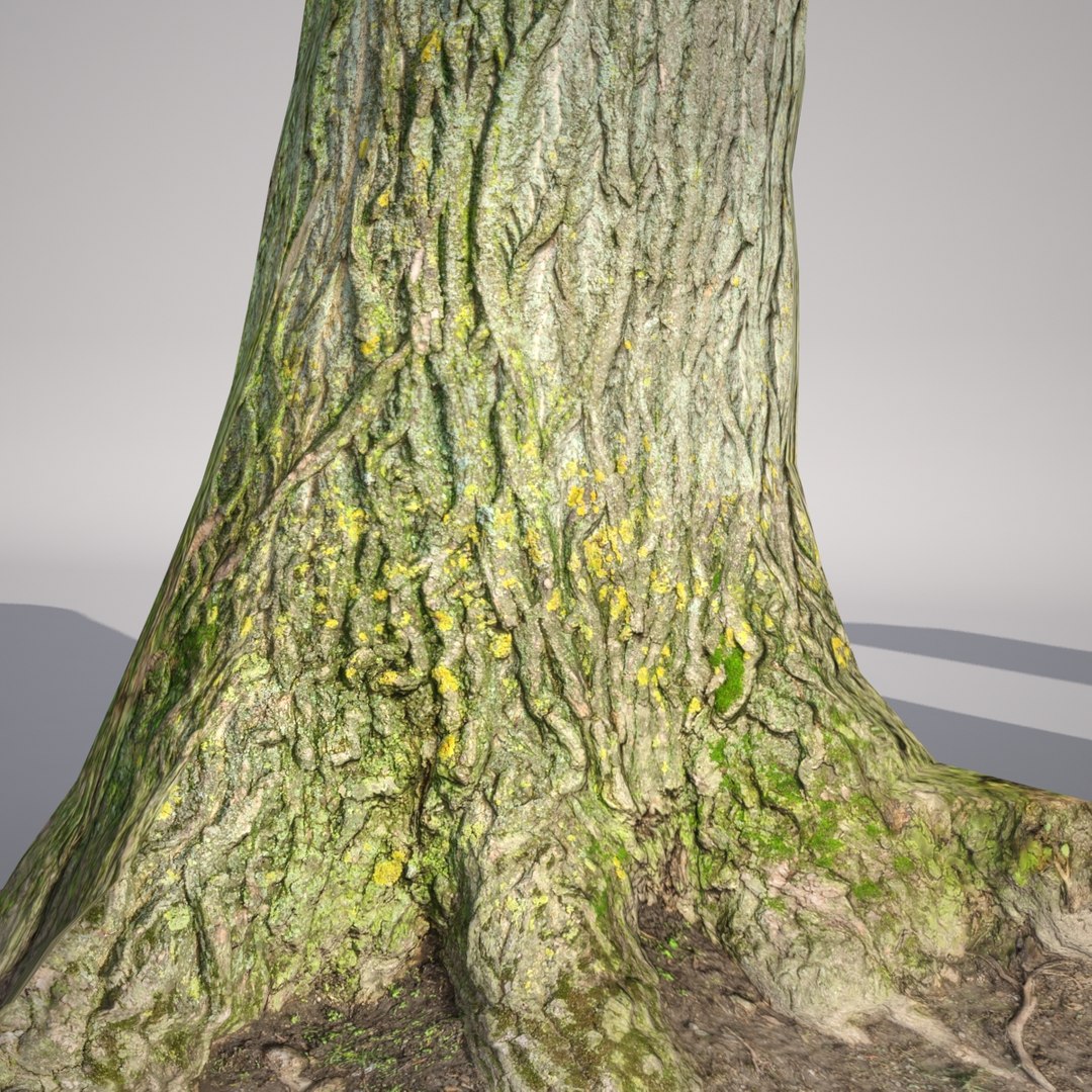 3d Scan Trees Model