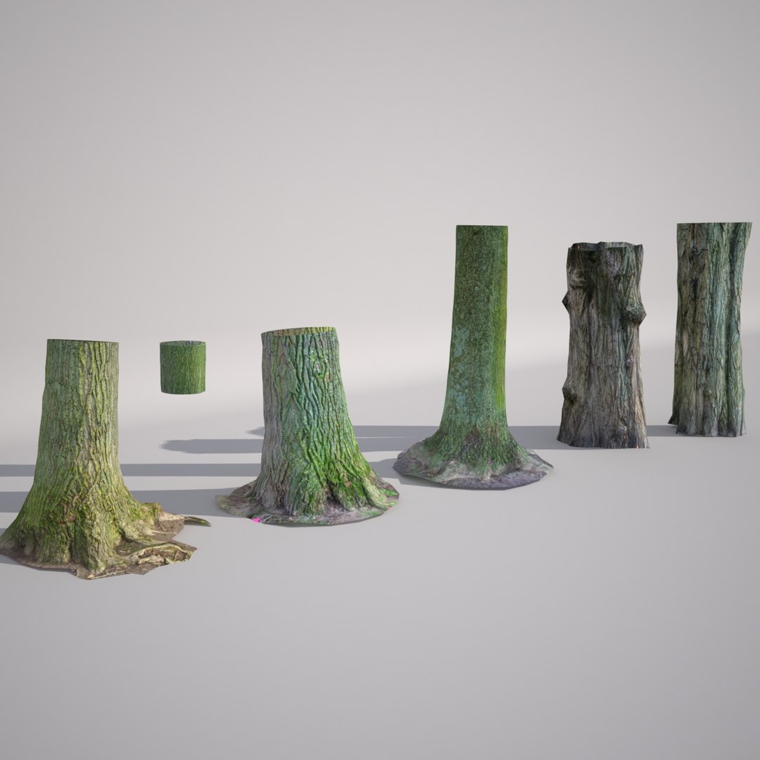 3d Scan Trees Model