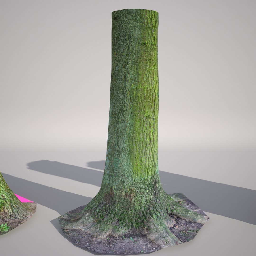 3d Scan Trees Model