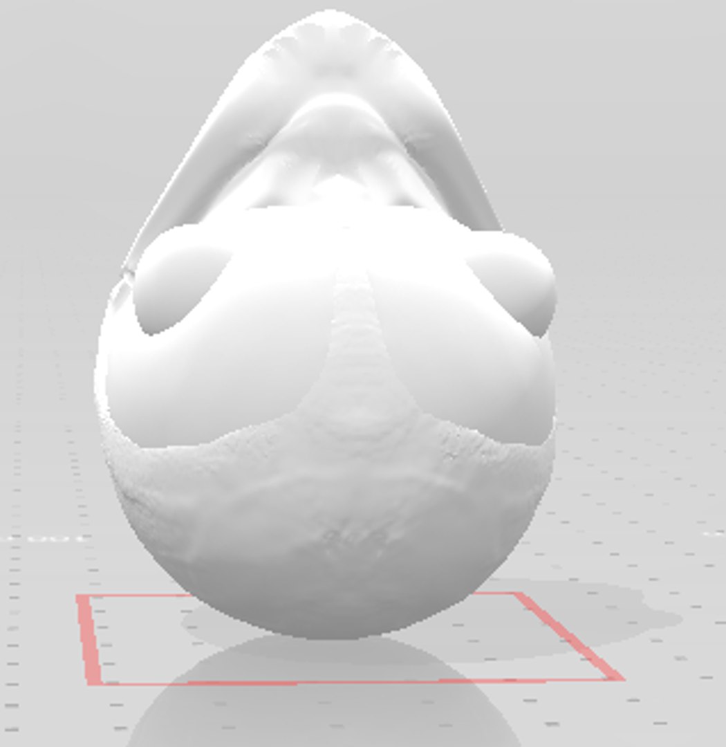 Bird Head 3D Model - TurboSquid 1279153
