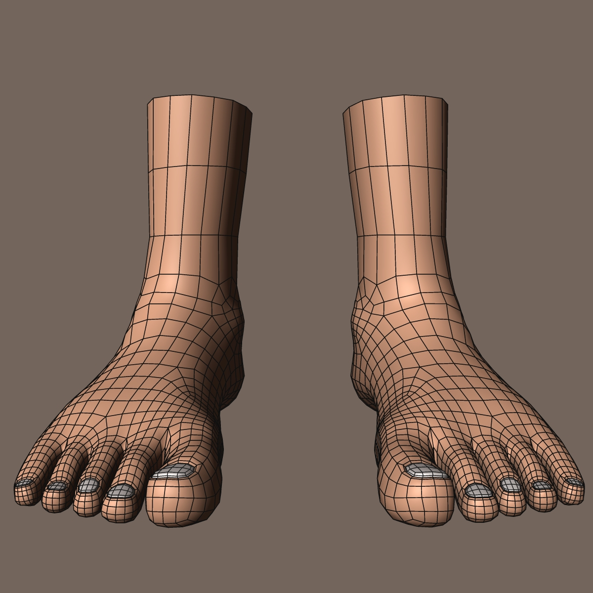 decent feet uv unwrapped 3d model