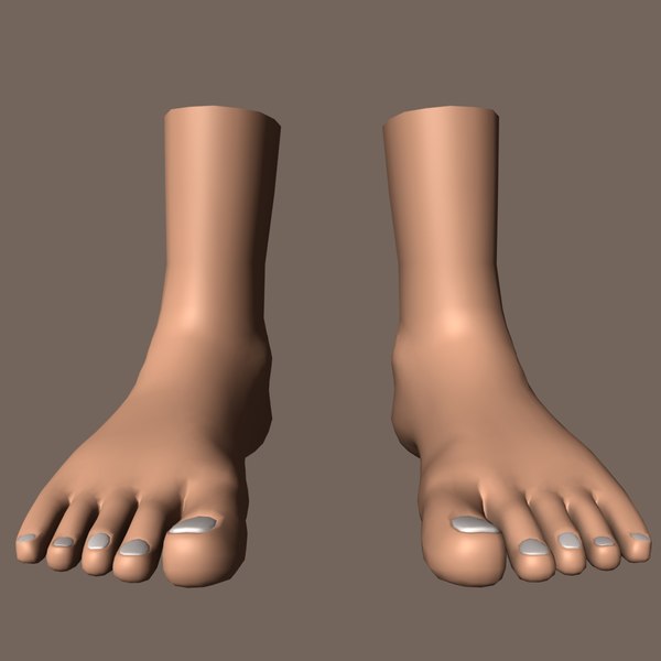 decent feet uv unwrapped 3d model