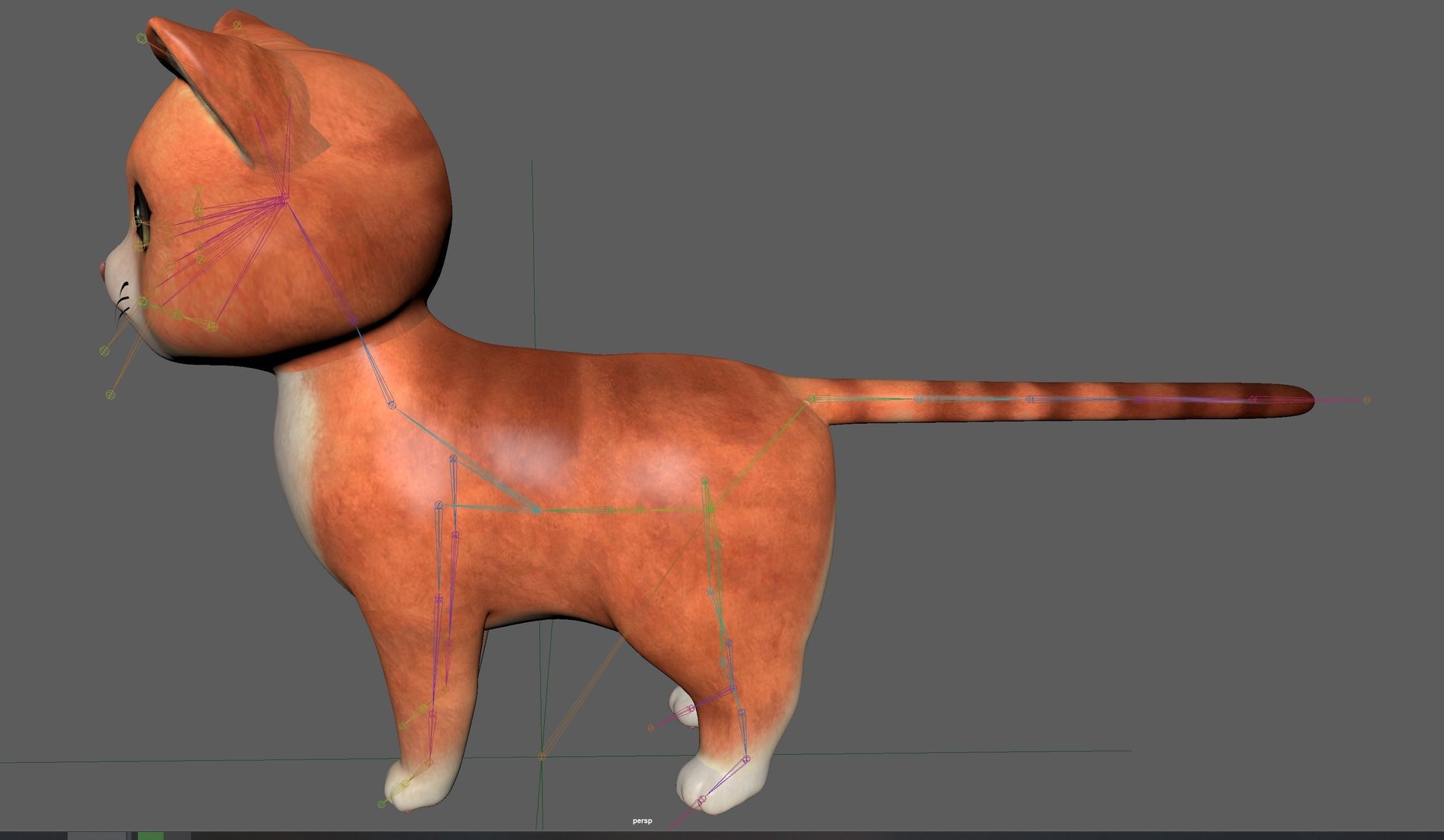 3D Cartoon Cat Rig Model - TurboSquid 1881324