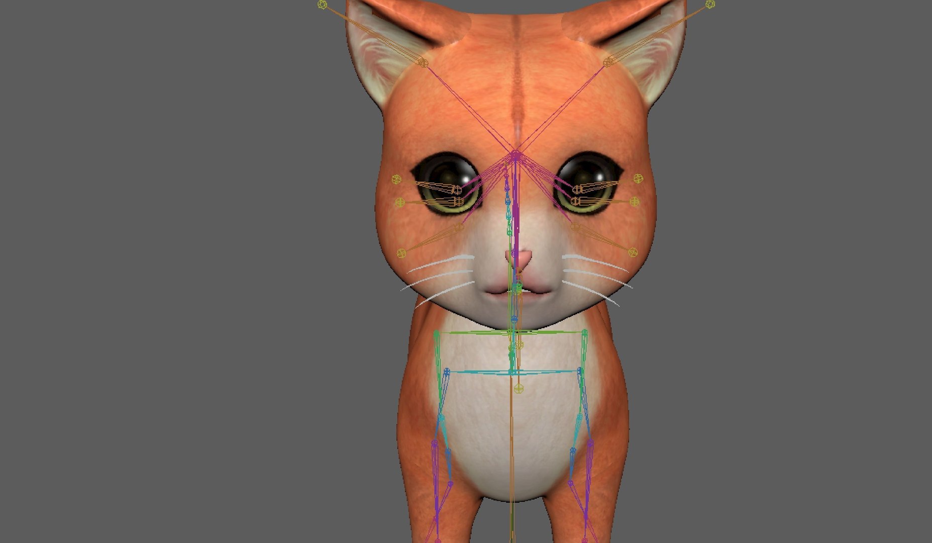 3D Cartoon Cat Rig Model - TurboSquid 1881324