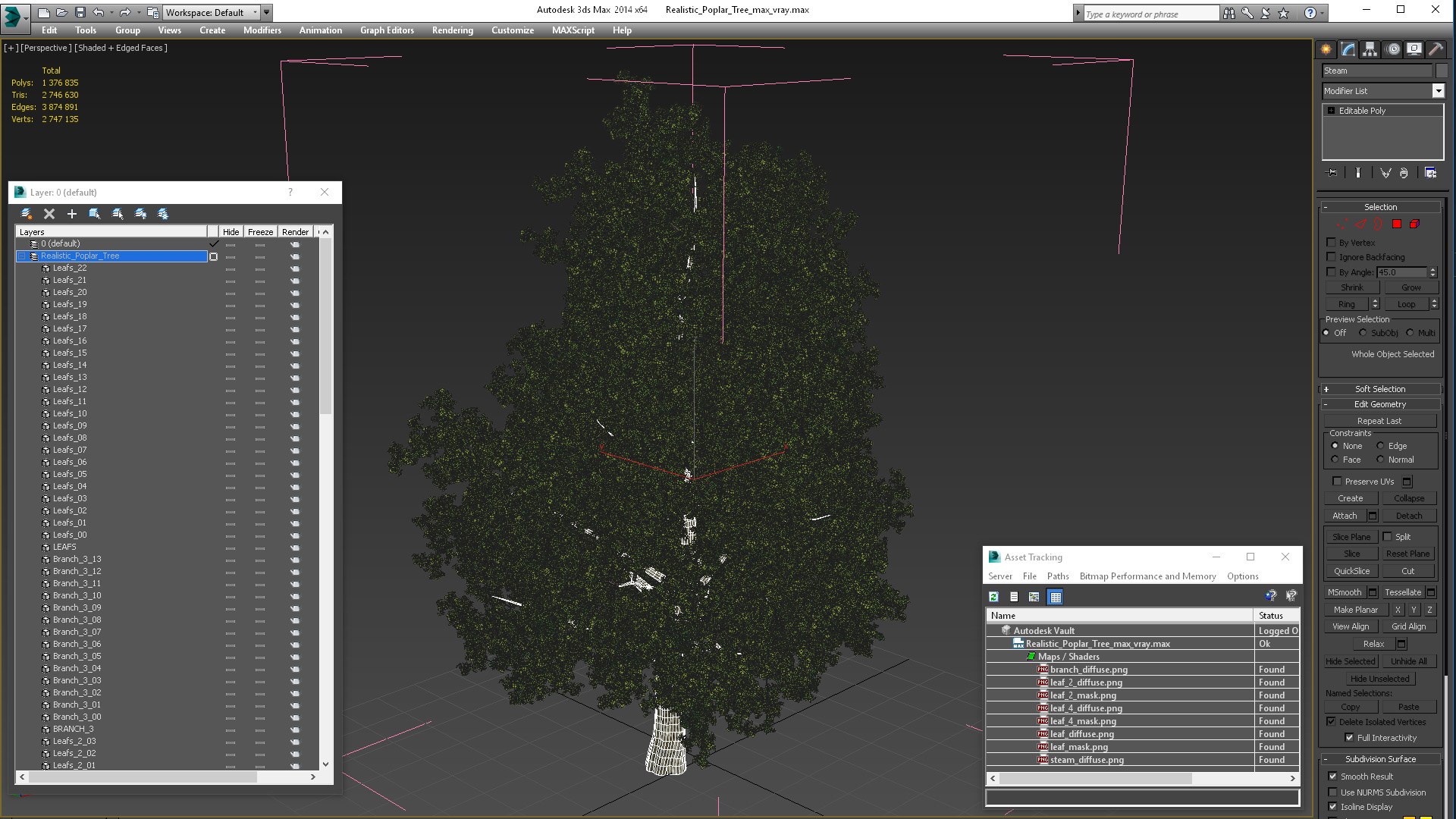 Realistic Poplar Tree 3D Model - TurboSquid 2237050