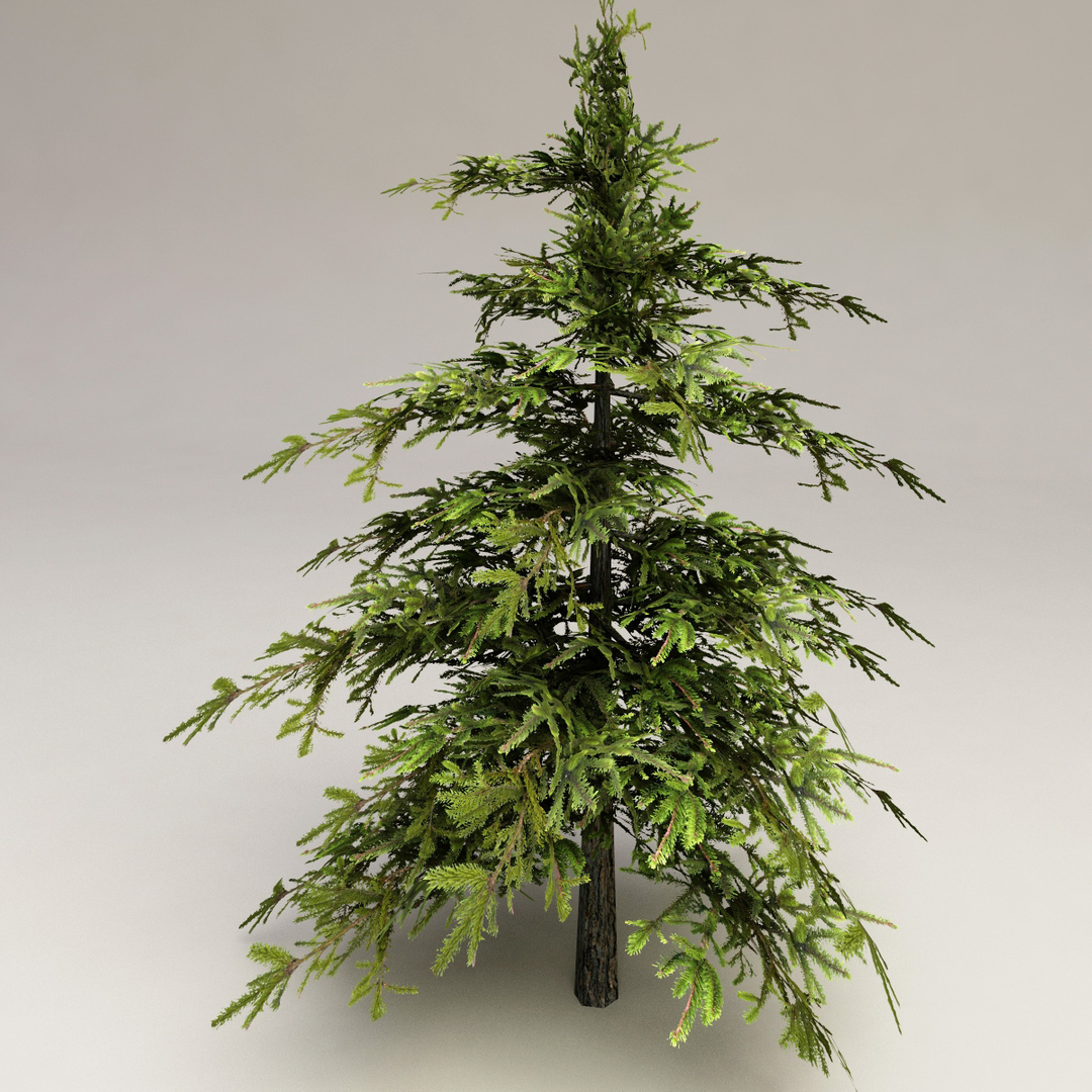 low-poly fir tree 3d model