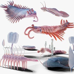 Animated 3D Cambrian Models For Download | TurboSquid