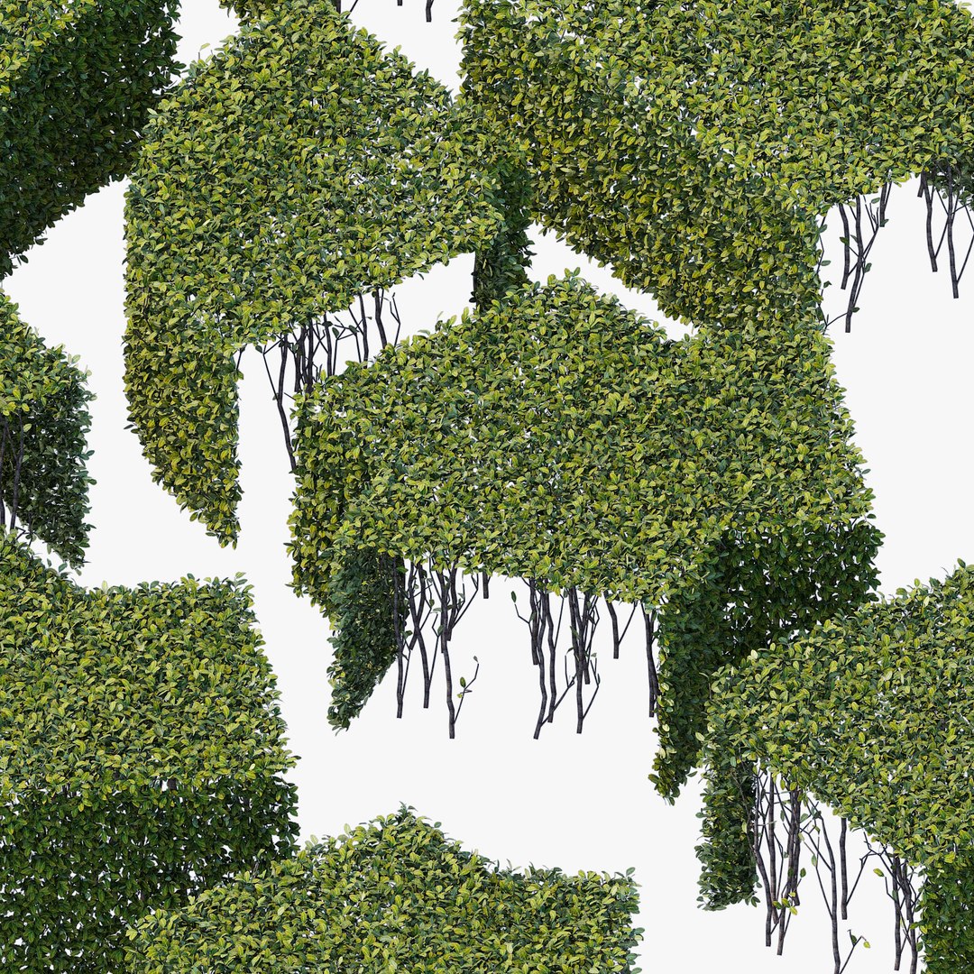 3D Hedge H - TurboSquid 1164496
