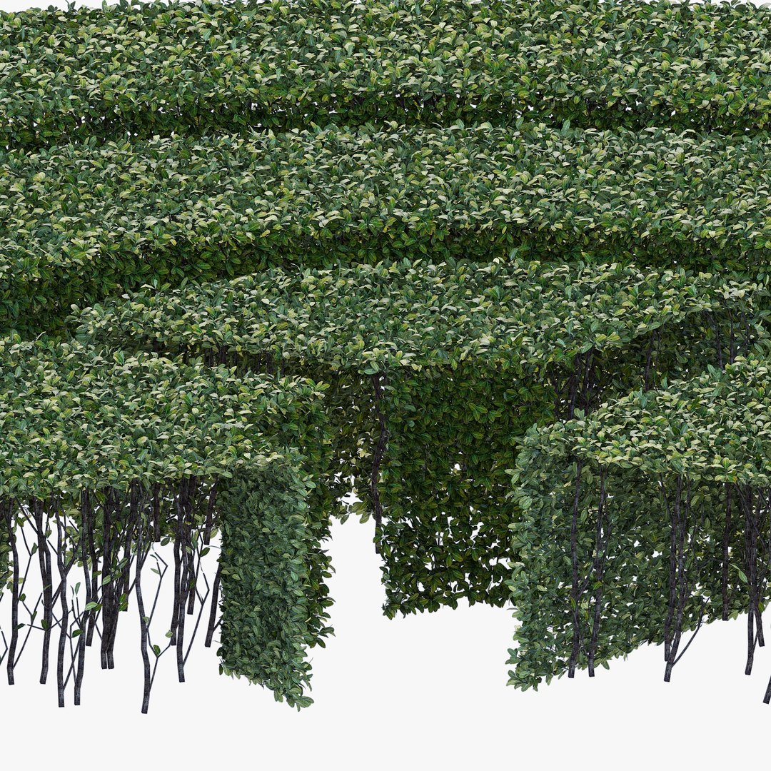 3D Hedge H - TurboSquid 1164496