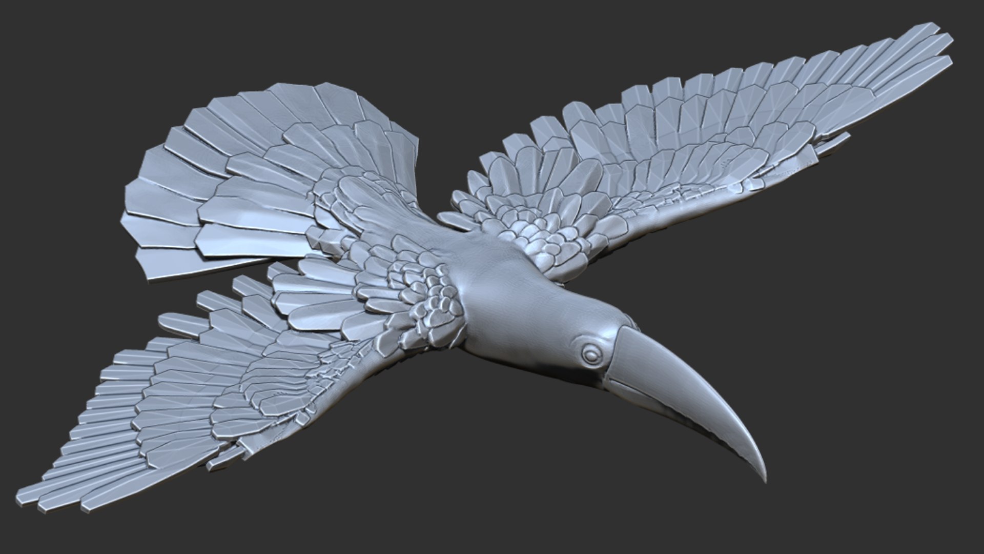 Toucan Model - TurboSquid 2213368