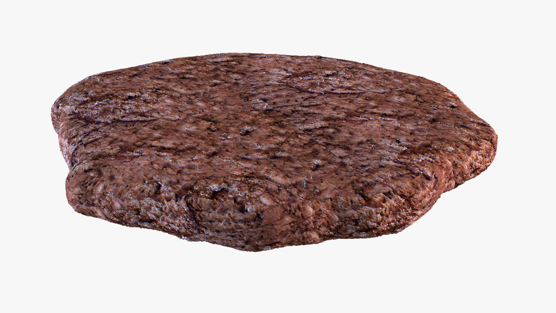 Burger Patty 3D Model - TurboSquid 1828132