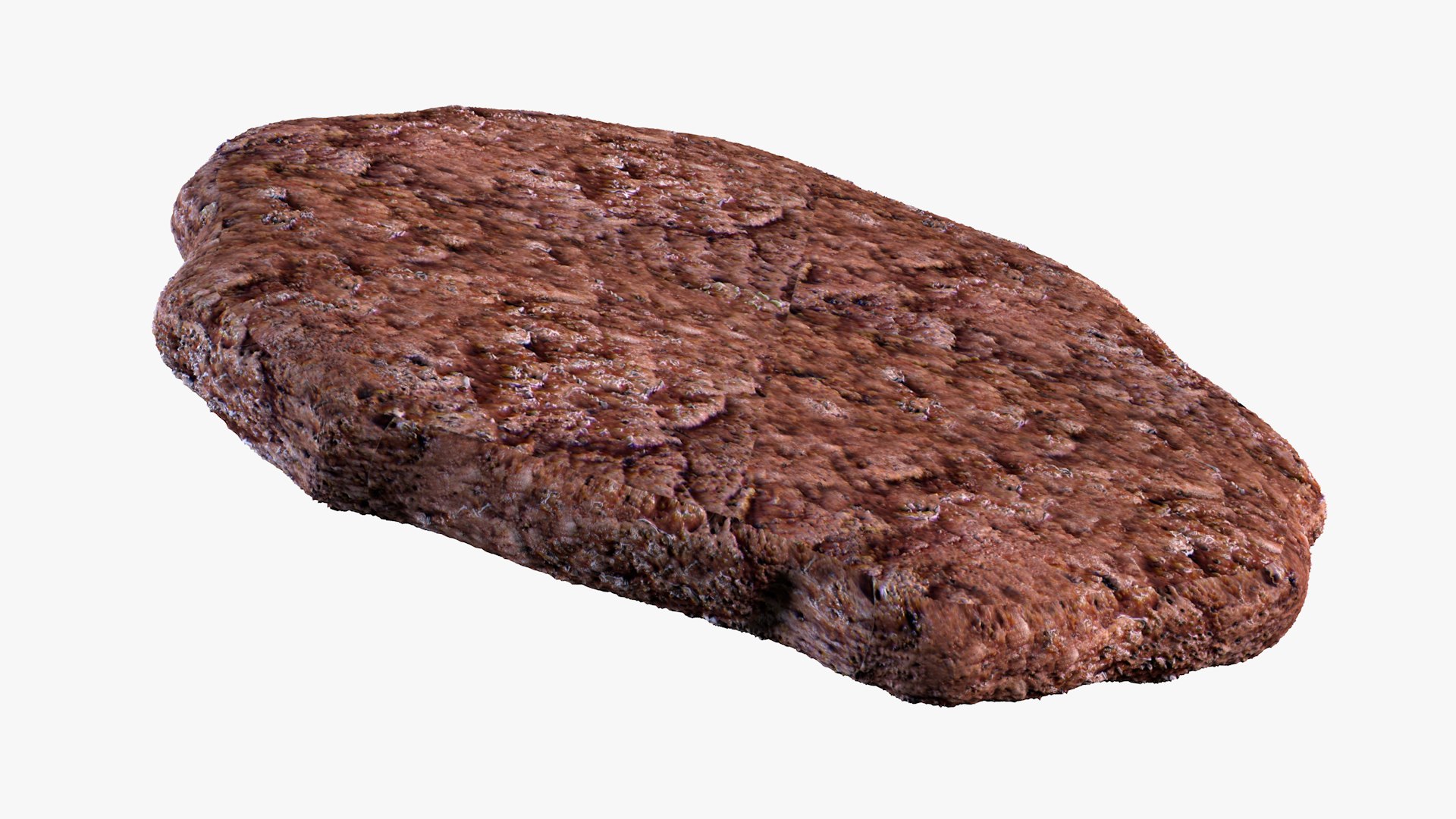 Burger Patty 3D Model - TurboSquid 1828132