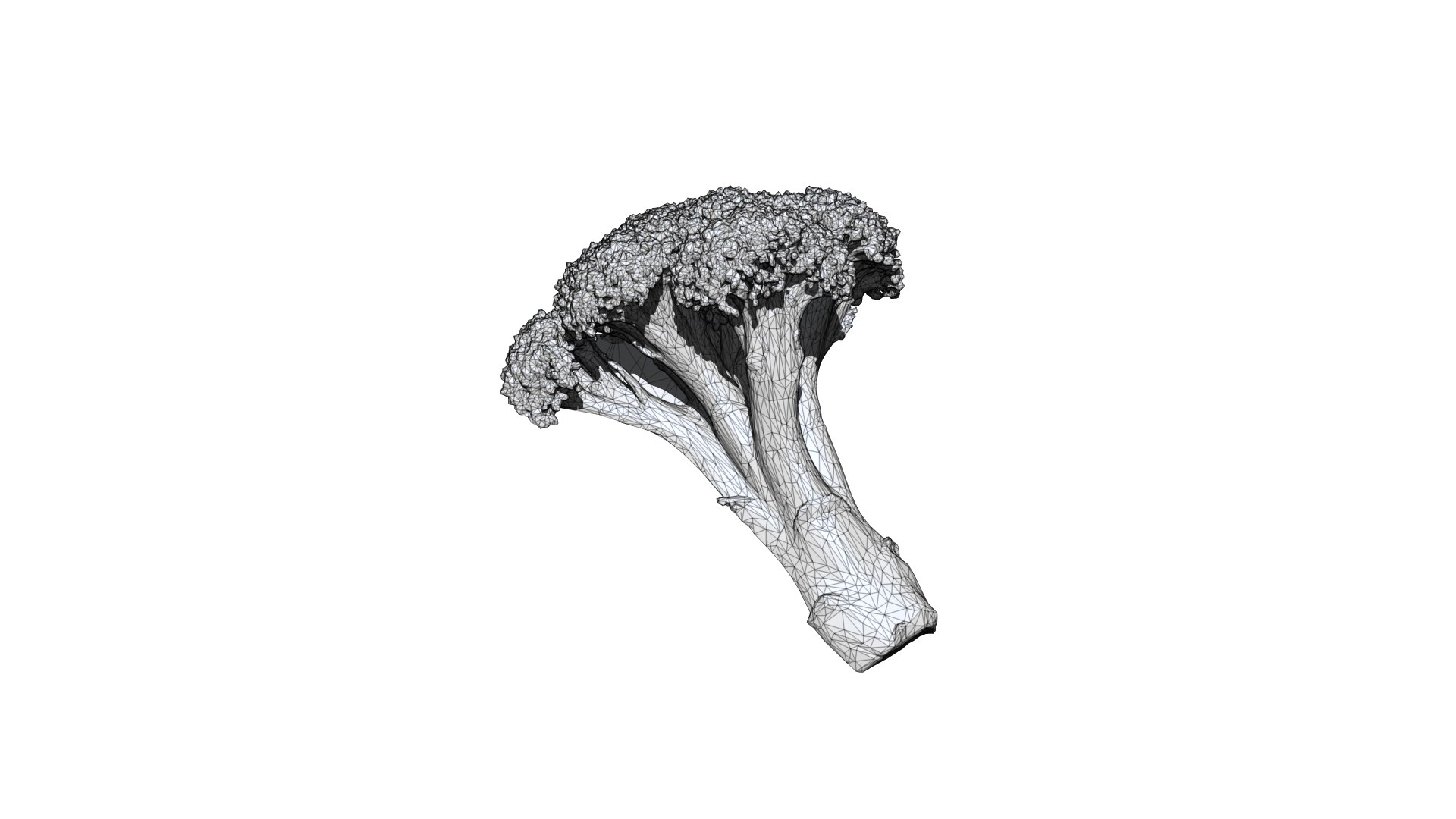 3D Broccoli Cut 3D CT Scan Model 2 Decimate 10percent - TurboSquid 1886420
