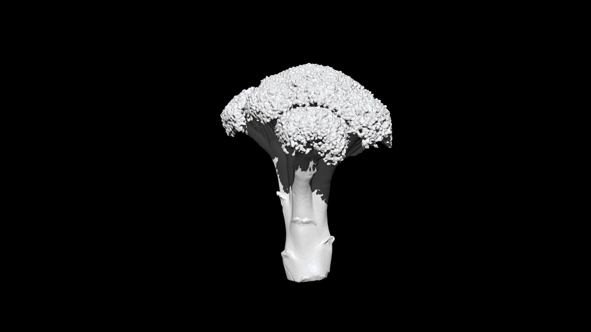 3D Broccoli Cut 3D CT Scan Model 2 Decimate 10percent - TurboSquid 1886420
