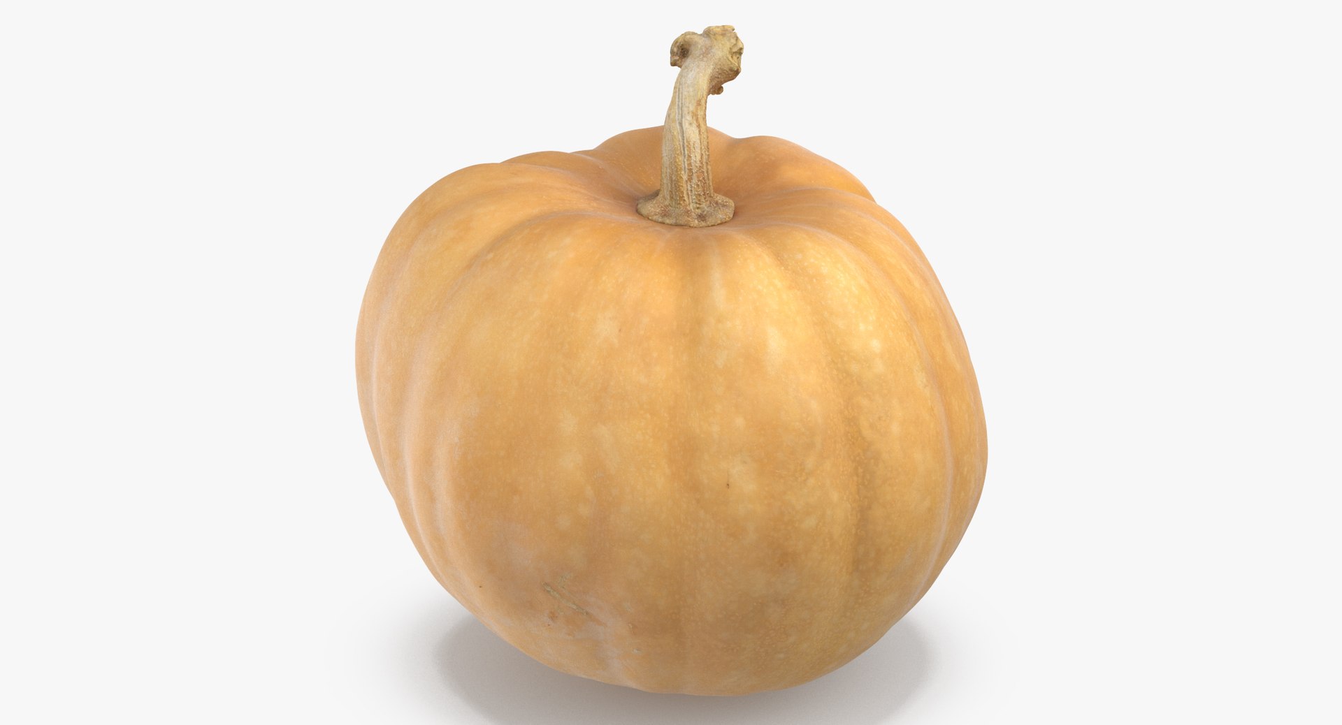 Pumpkins 3D Model - TurboSquid 1462893