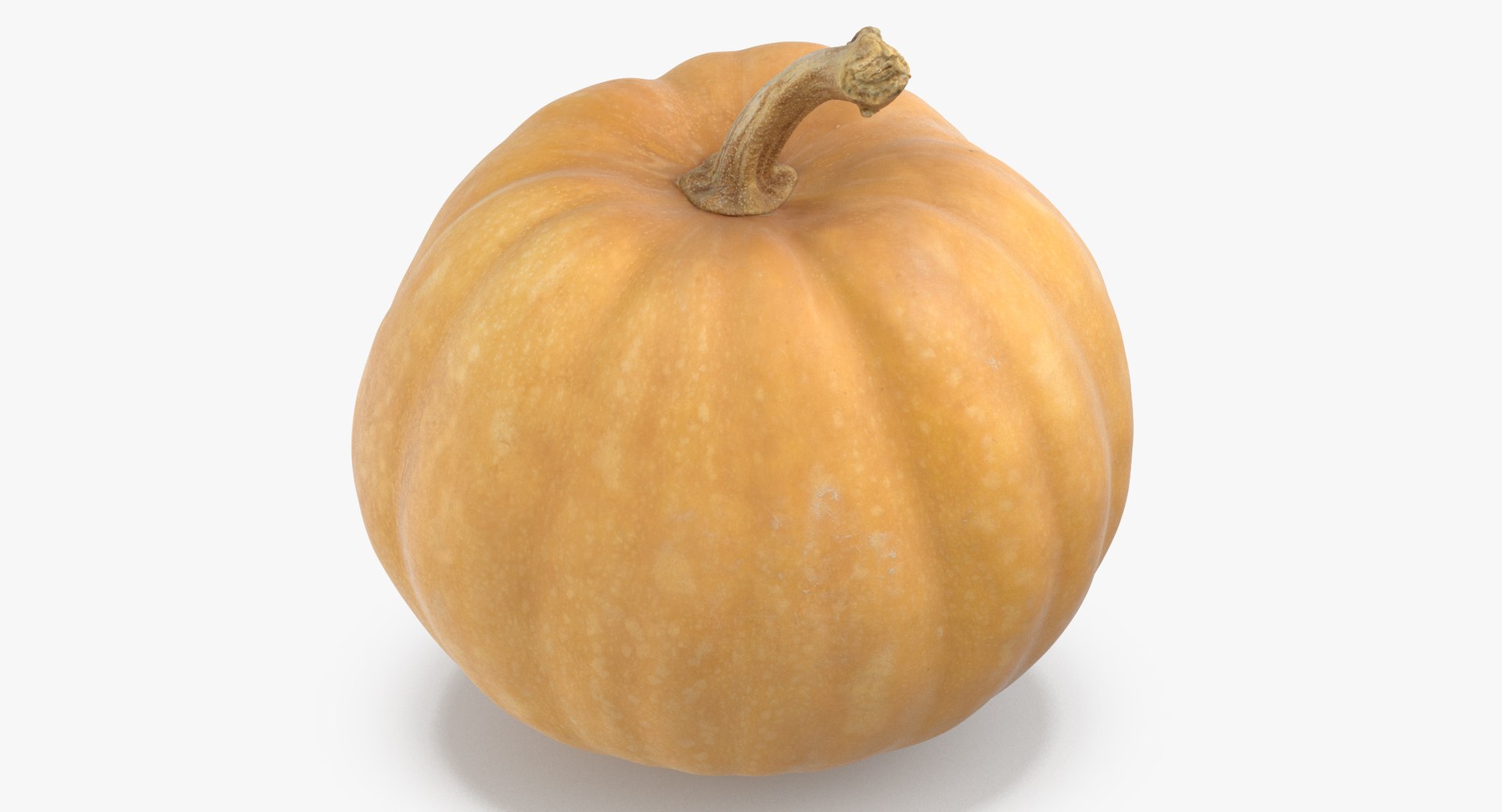Pumpkins 3D Model - TurboSquid 1462893