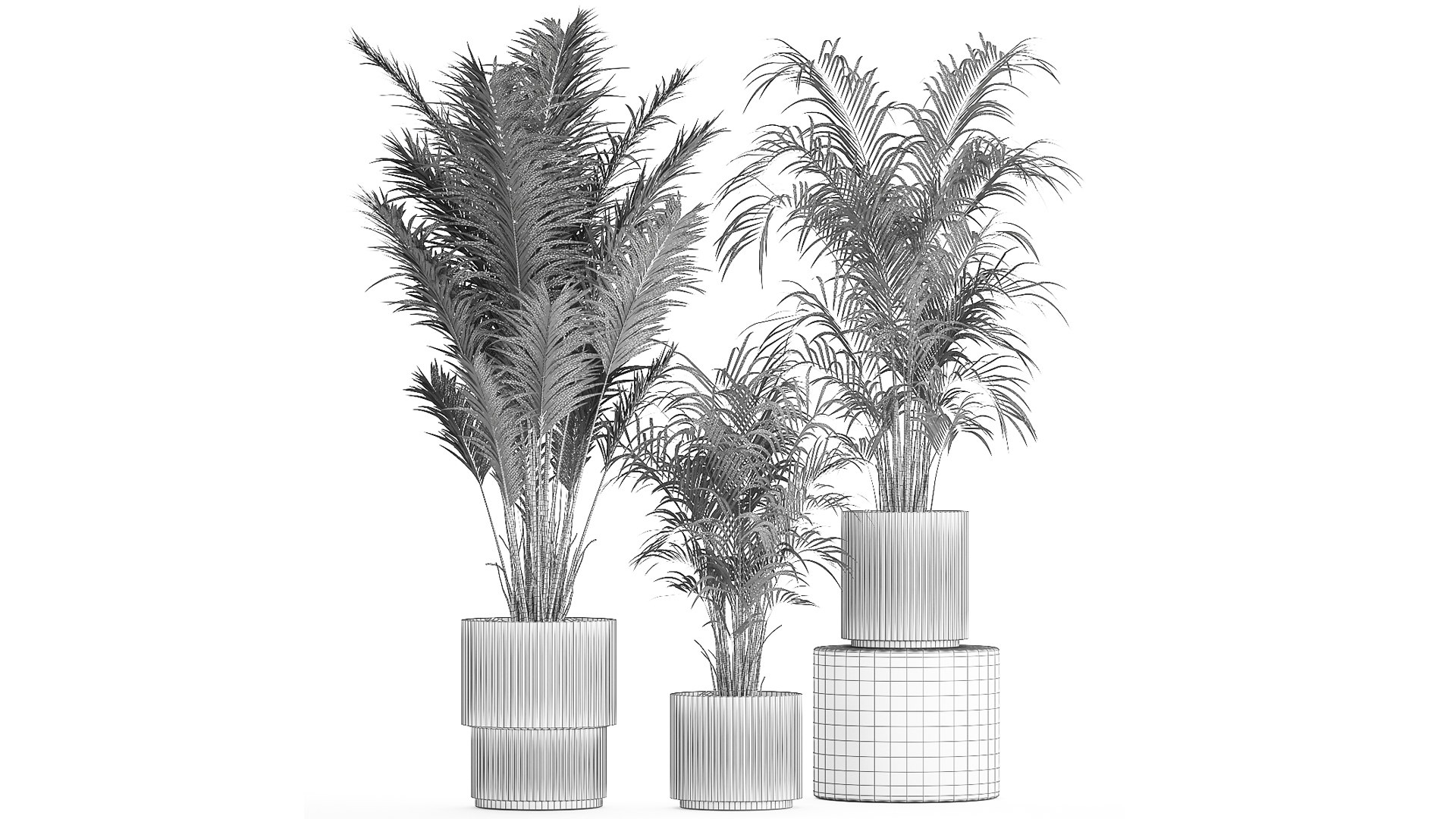 Beautiful Howea Forsteriana Palm Trees In Flower Pots 1268 3D Model ...