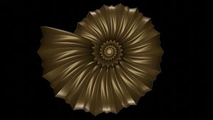 3d Nautilus Shell Cut