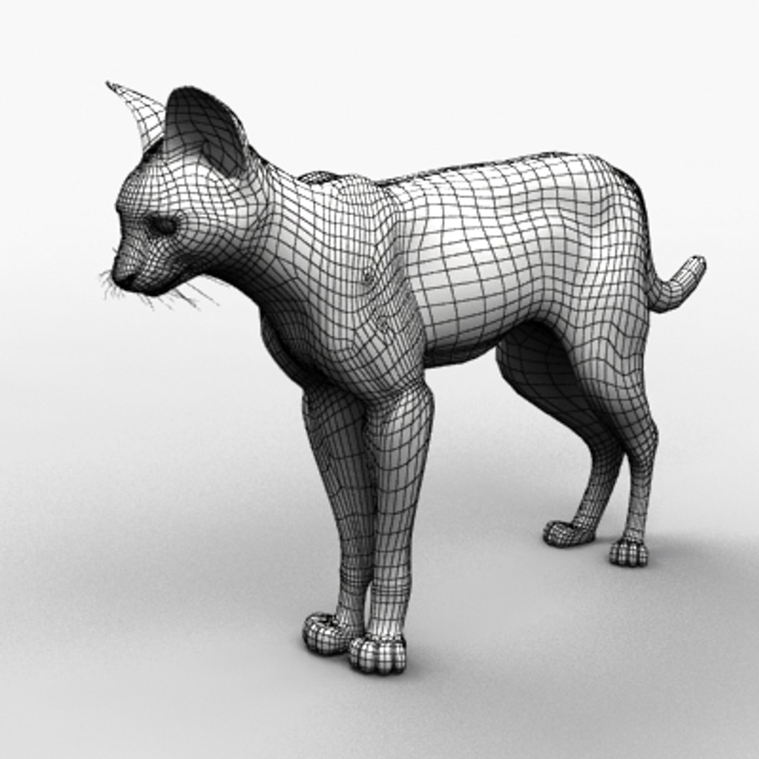 3d model serval cats
