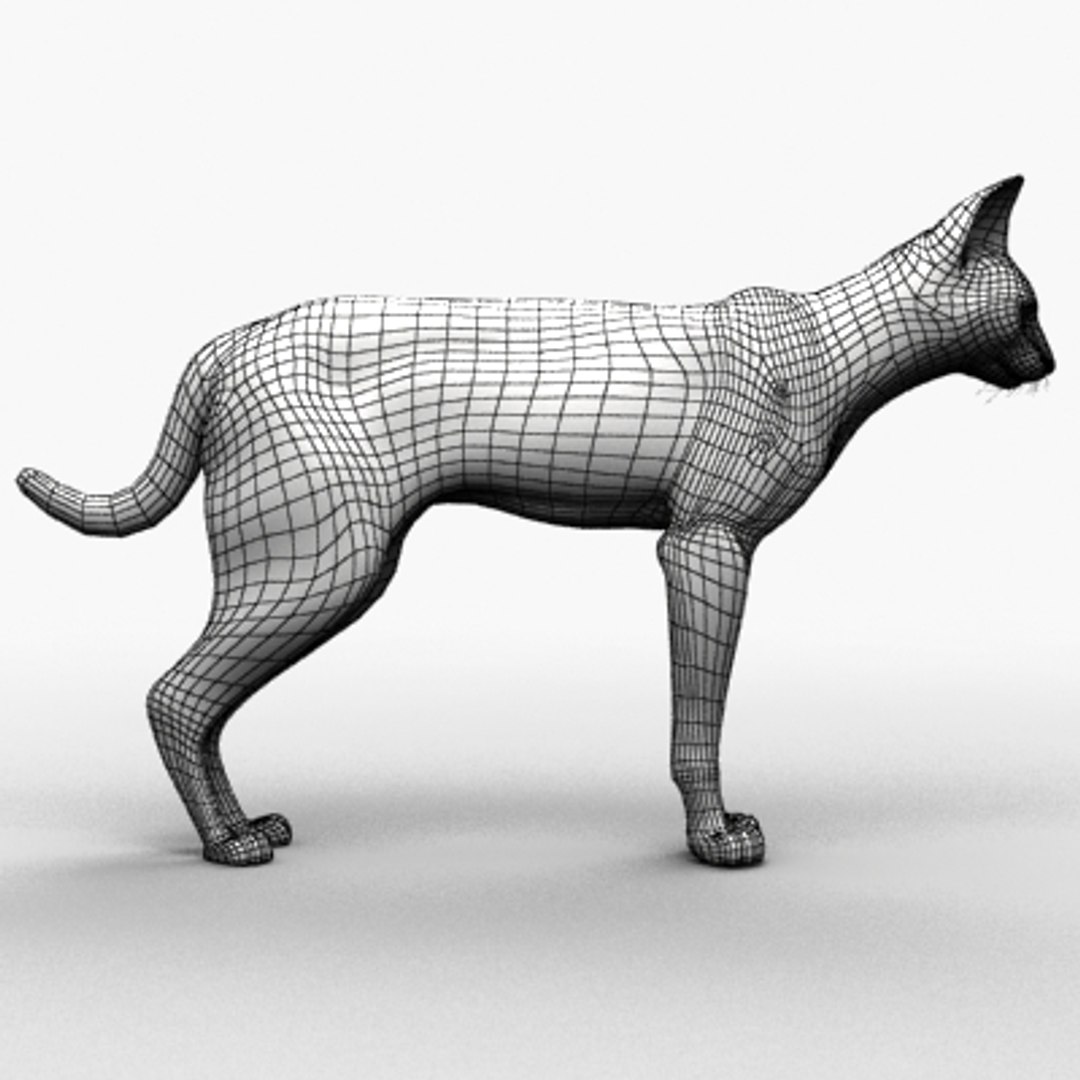 3d model serval cats