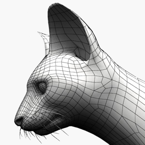3d model serval cats