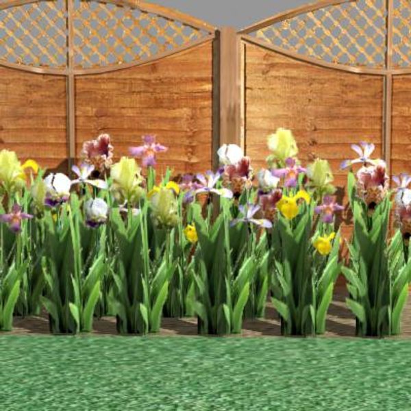 maya plants flower