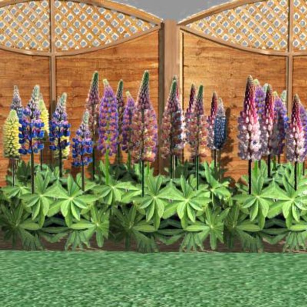 maya plants flower