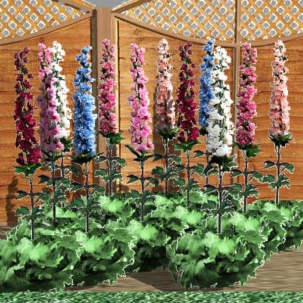 maya plants flower