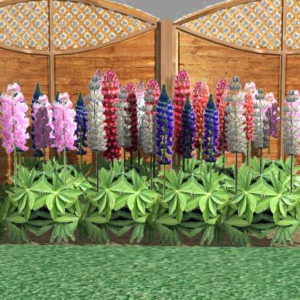 maya plants flower