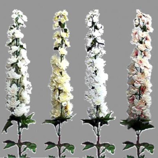 maya plants flower