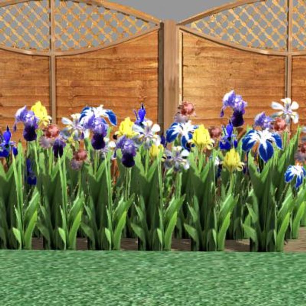 maya plants flower