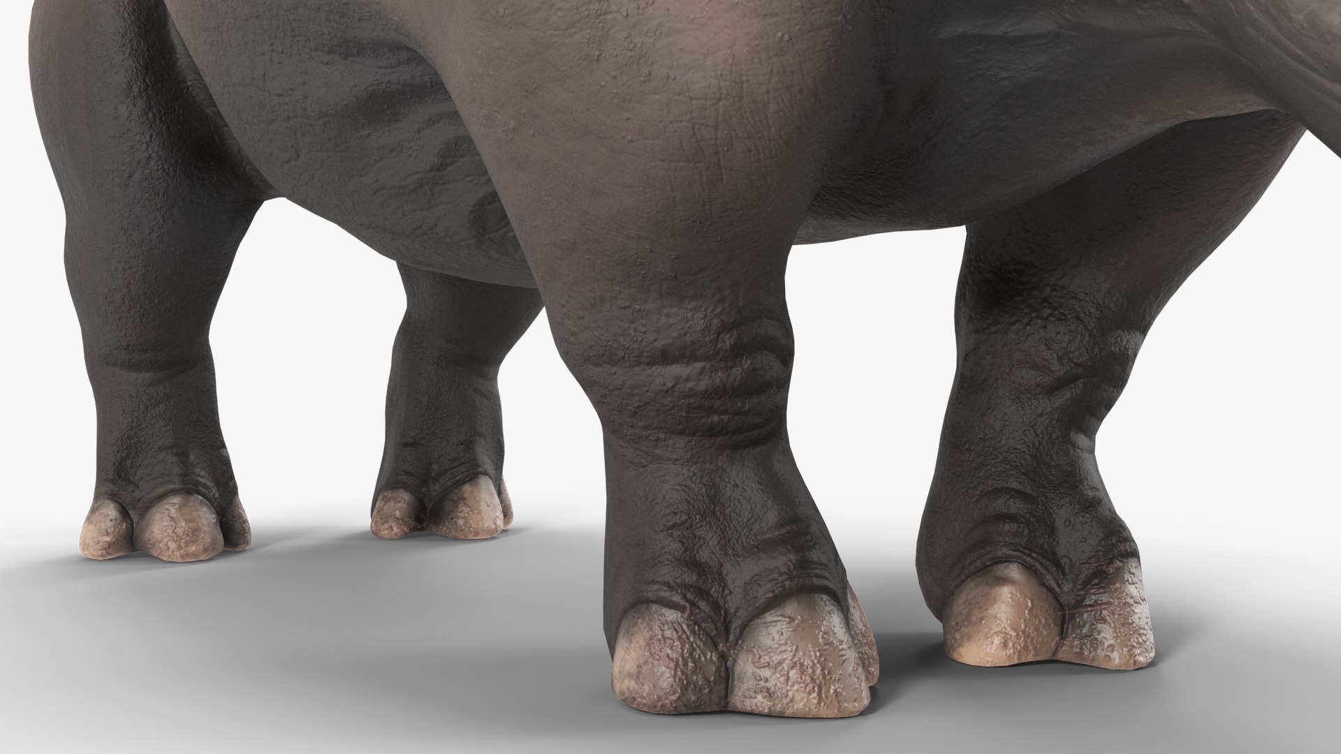 3D Elasmotherium Rigged - TurboSquid 1981395