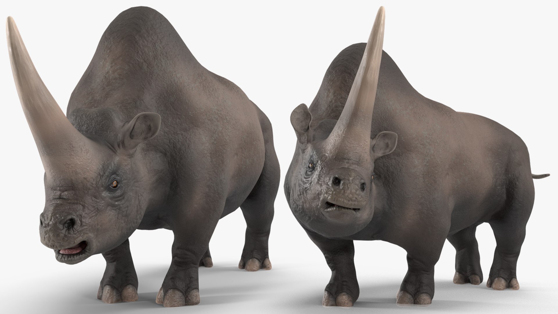 3D Elasmotherium Rigged - TurboSquid 1981395