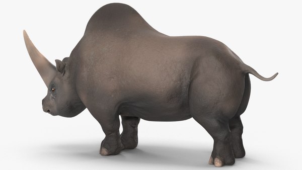 modelo 3d Elasmotherium Rigged - TurboSquid 1981395