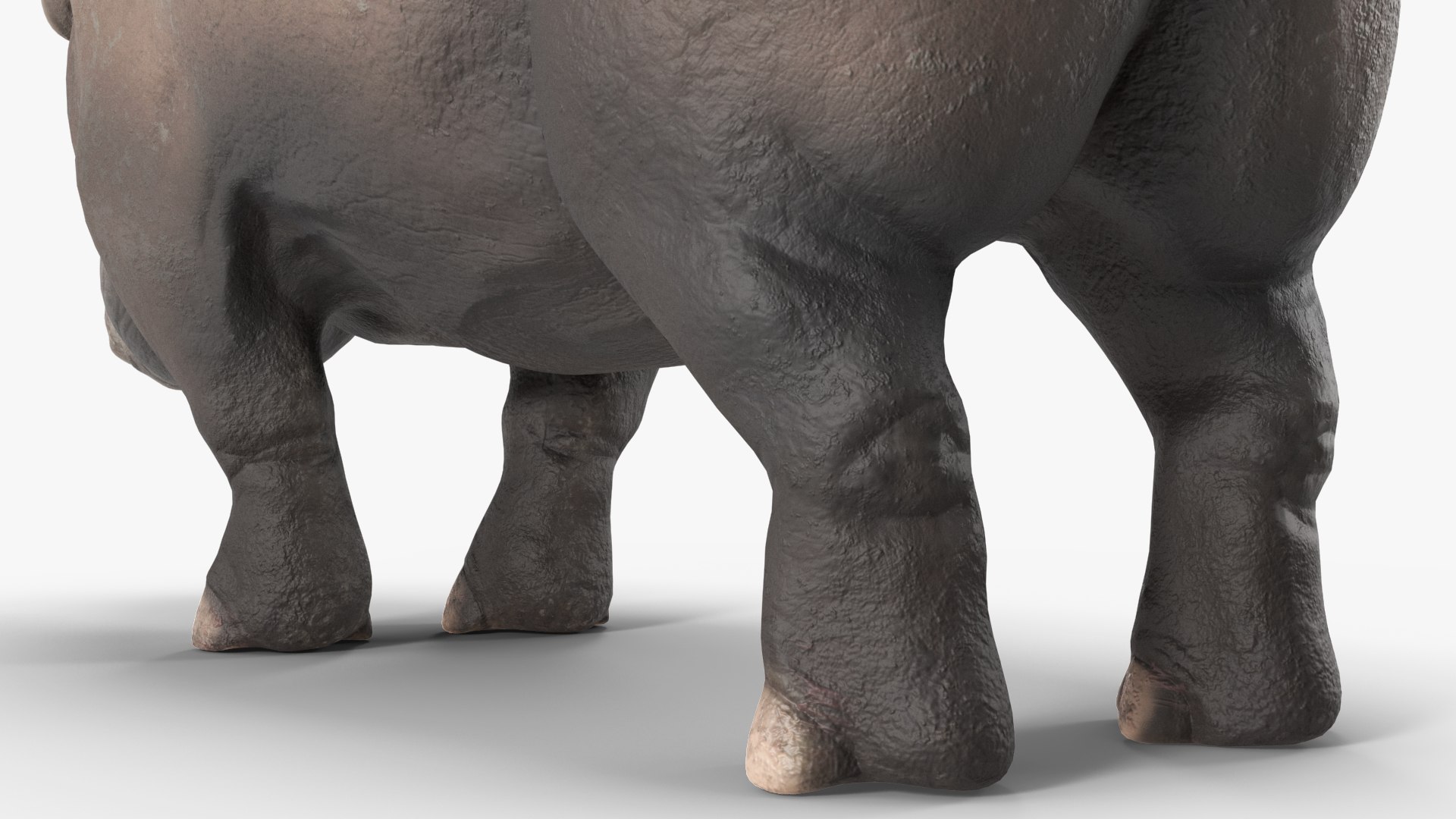 3D Elasmotherium Rigged - TurboSquid 1981395