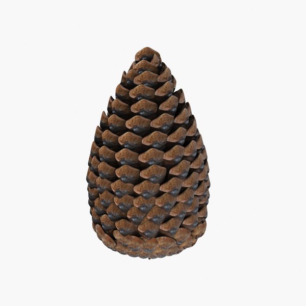 3D pine cone model - TurboSquid 1404365