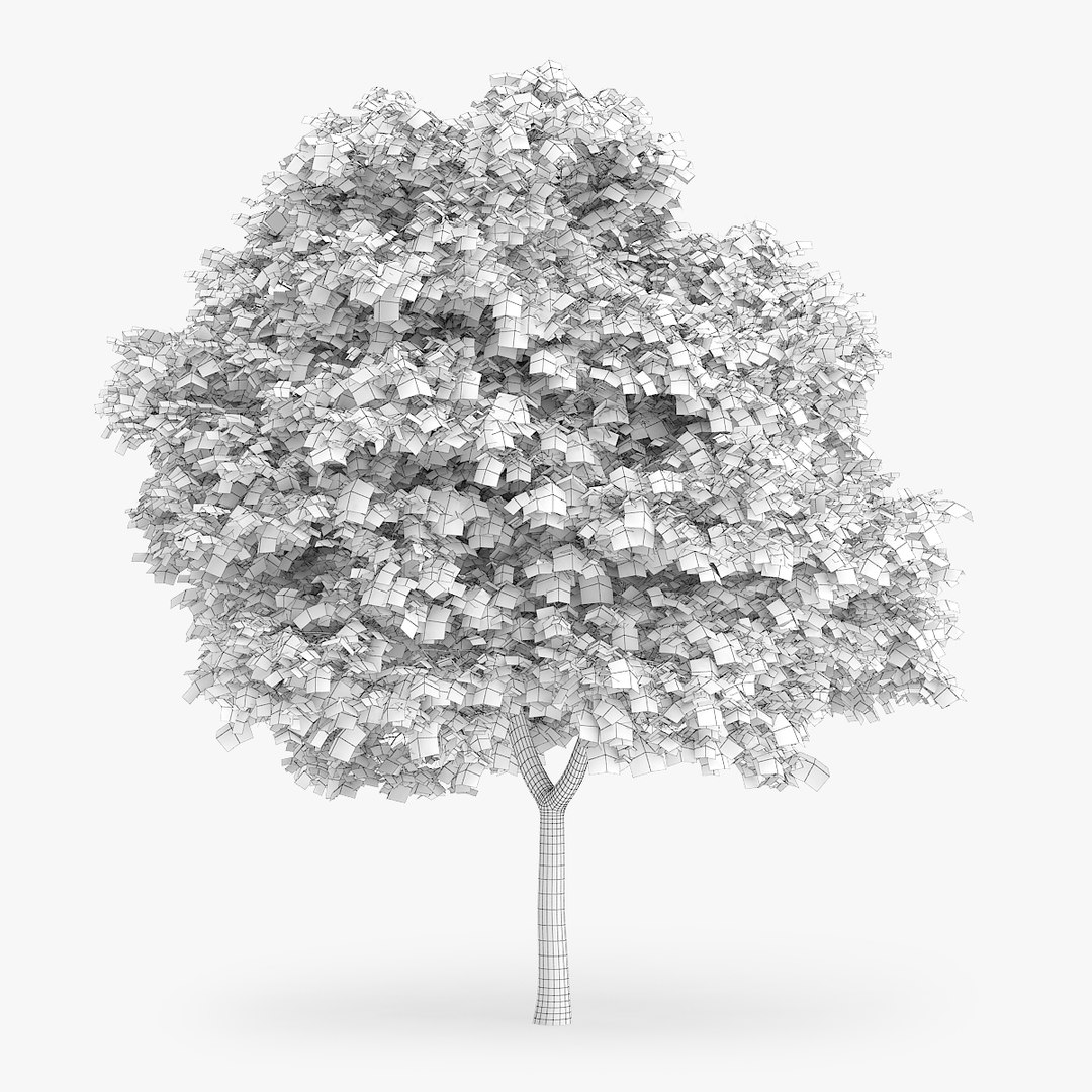 Northern Red Oak 8 3d Model