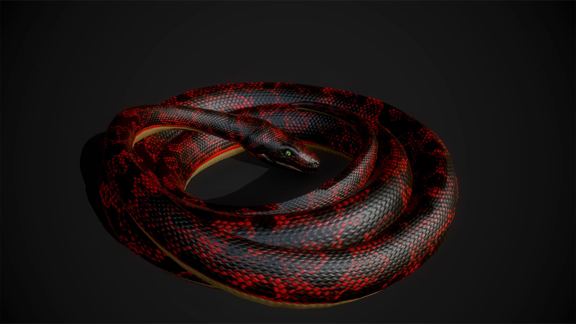 3D Boa - Game Ready - TurboSquid 1751953