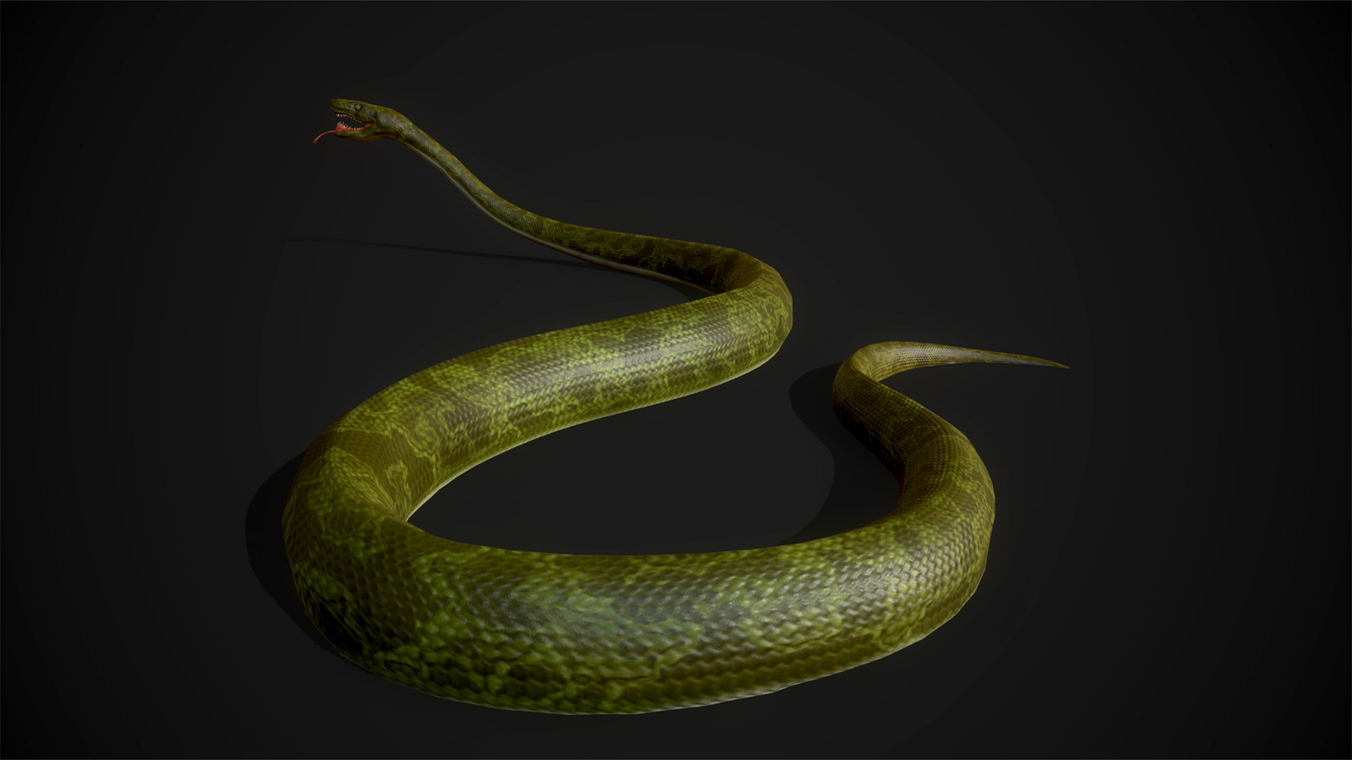 3D Boa - Game Ready - TurboSquid 1751953