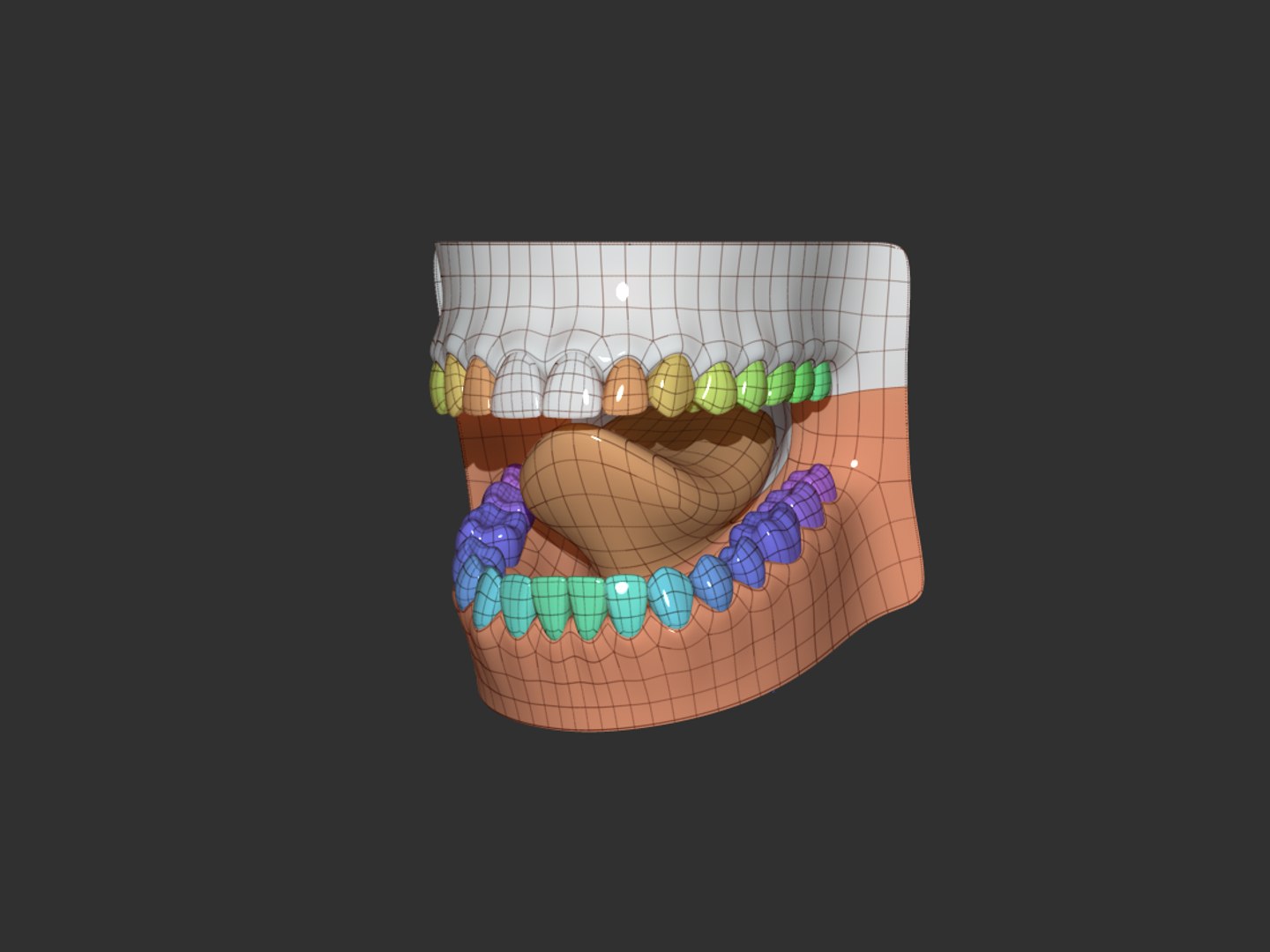 3D model jaw - TurboSquid 1137194
