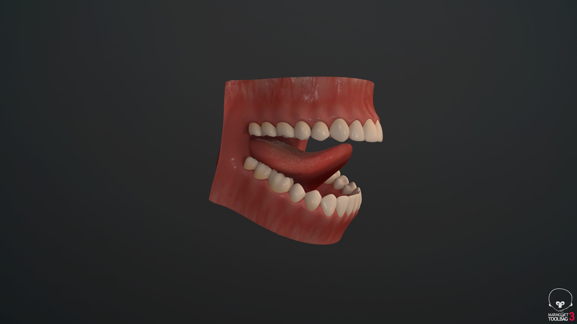 3D model jaw - TurboSquid 1137194