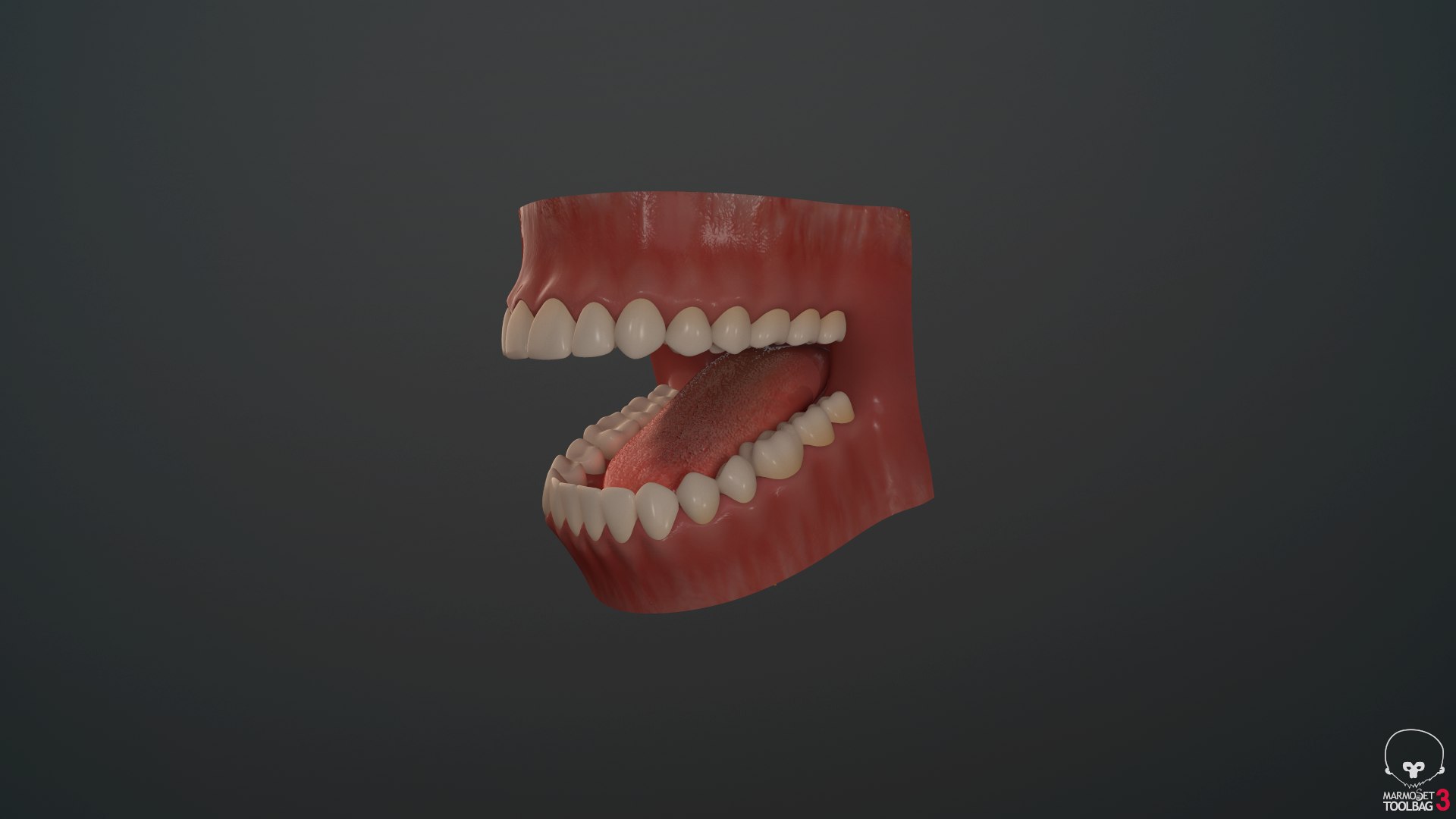 3D model jaw - TurboSquid 1137194