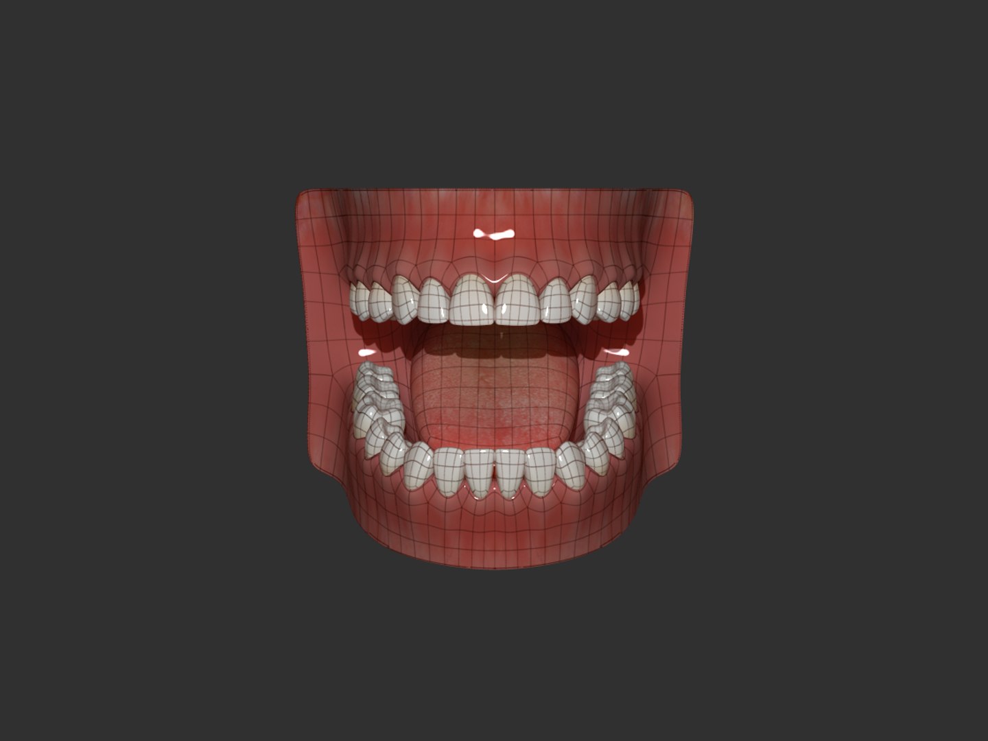3D model jaw - TurboSquid 1137194