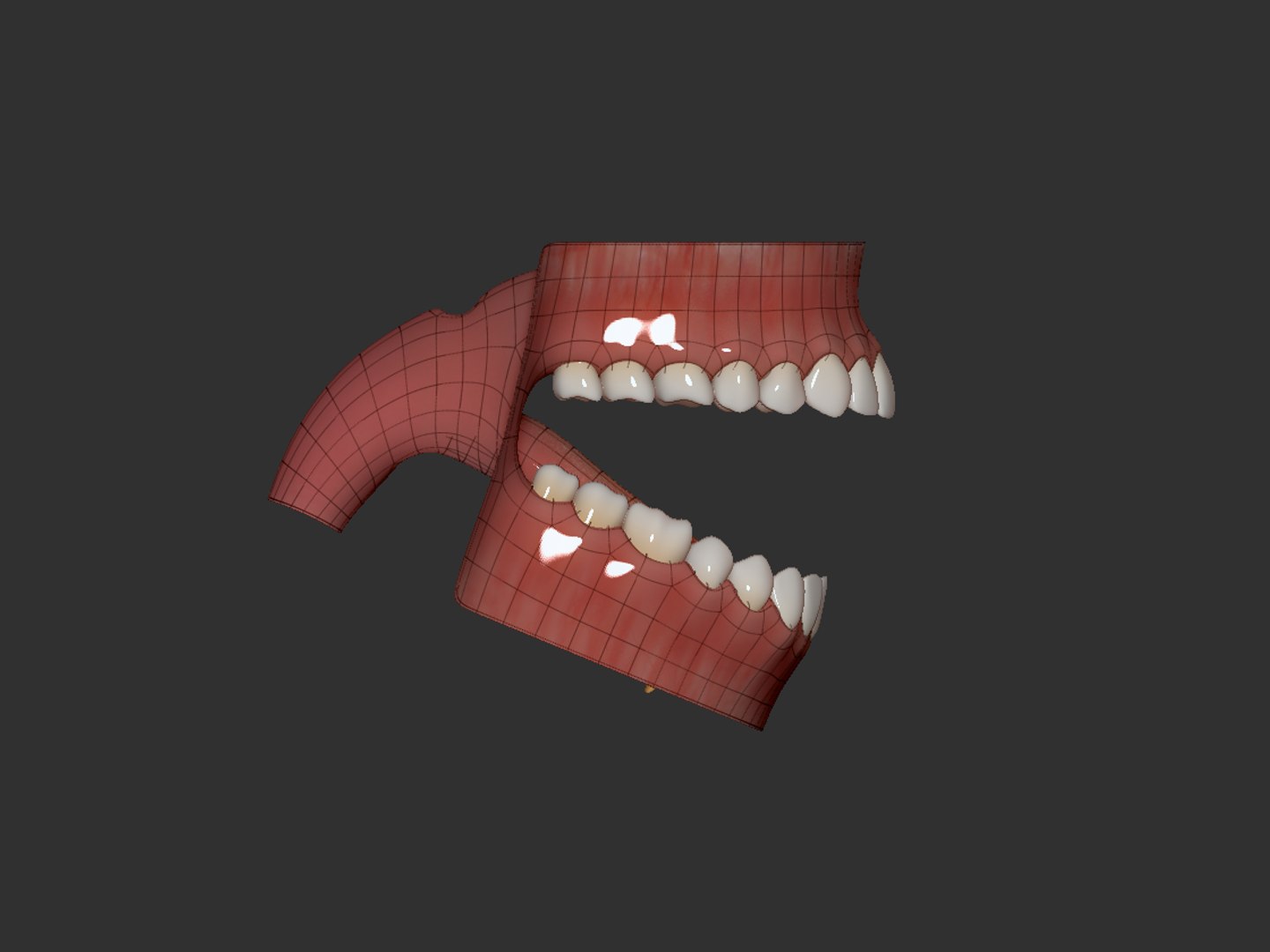 3D model jaw - TurboSquid 1137194