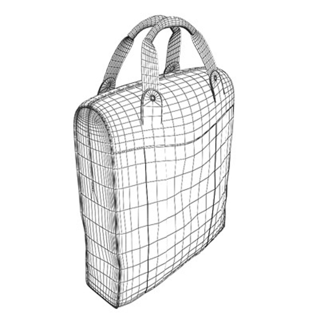 3d Ladies Bag Model