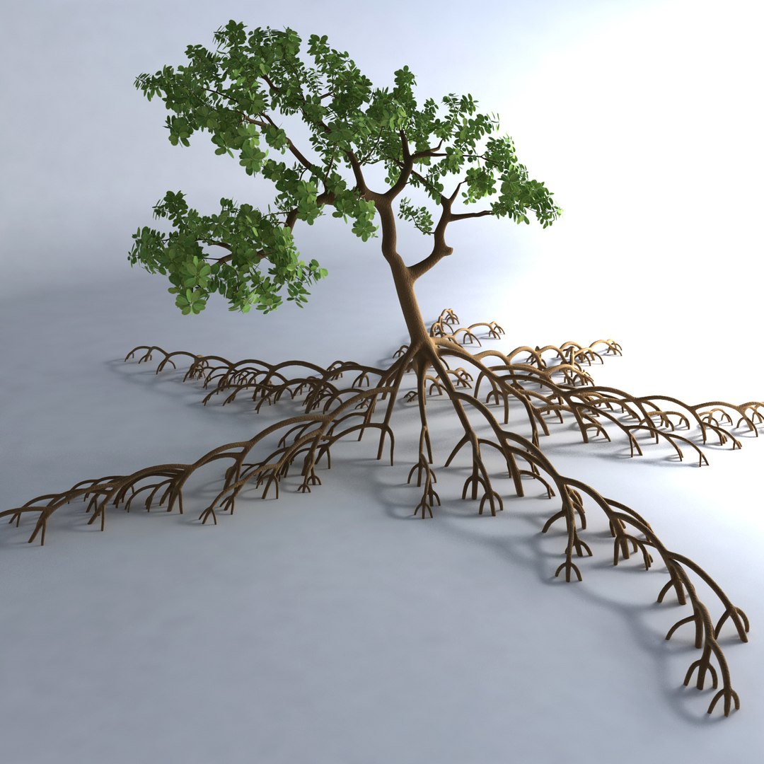 Mangrove Tree 3ds