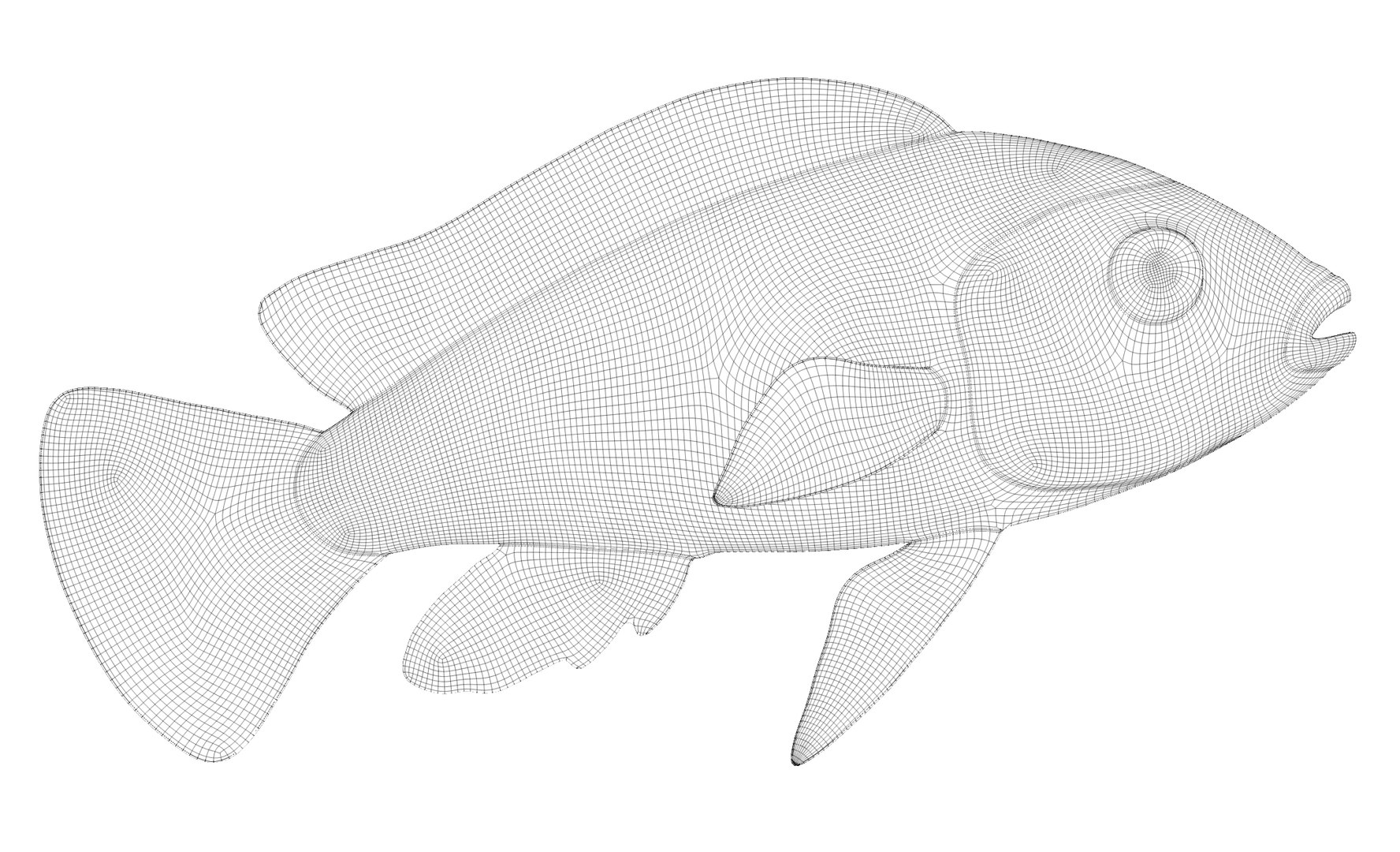 3D Electric Yellow Cichlid Fish - TurboSquid 2045027