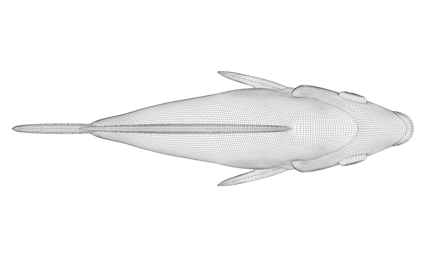 3D Electric Yellow Cichlid Fish - TurboSquid 2045027